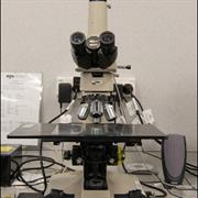 Nikon 66 optical microscope | Te Herenga Waka — Victoria University of ...